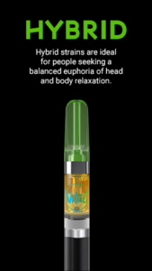 Strain Specific – Vital