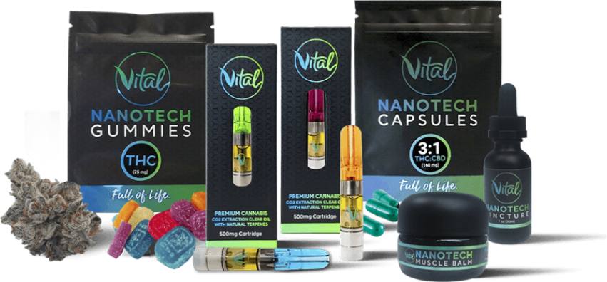 Vital – Full of Life